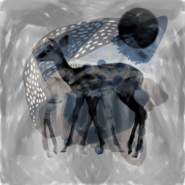 Virtual Exhibition by Balekane Legoabe | Visi