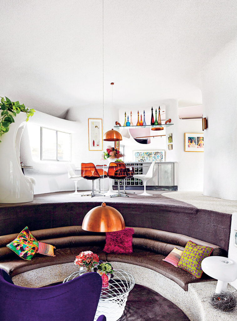 David Hollander's Organic & Retro Sydney Home | VISI