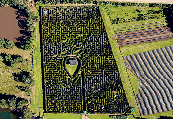 Redberry_Farm_1 | Visi