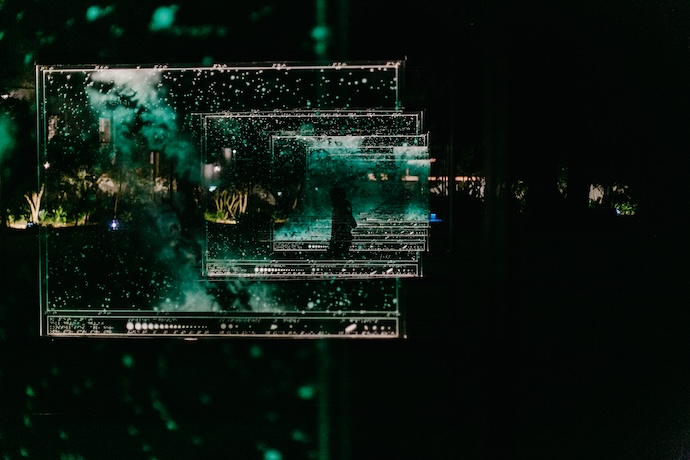 Under the Stars at Spier Light Art 2024 | VISI